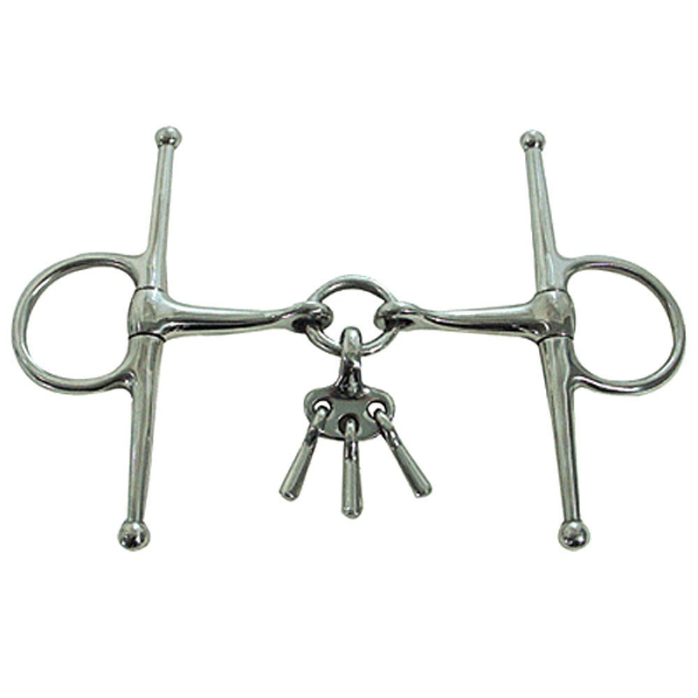 Stainless Steel Full Cheek Bit with Players